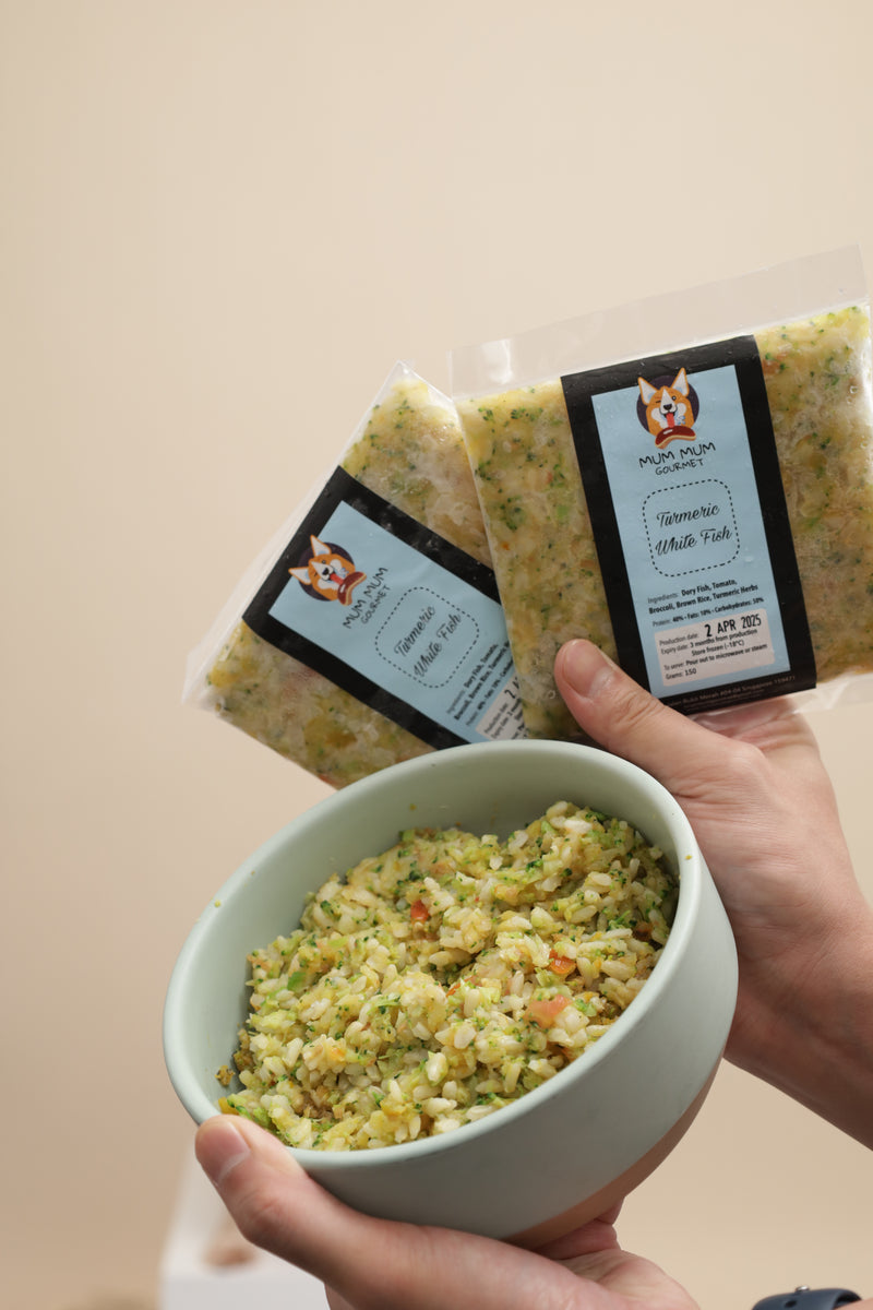 Turmeric White Fish – Mum Mum Gourmet